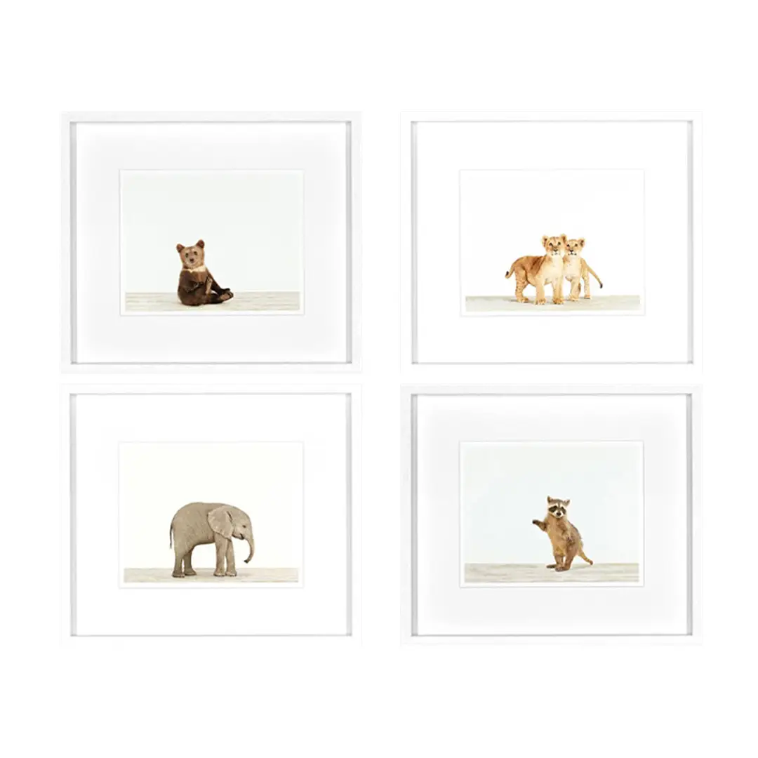 ANIMAL PRINTS-DECOR 2 - SET OF 4 - AP002 | Trenzseater NZ