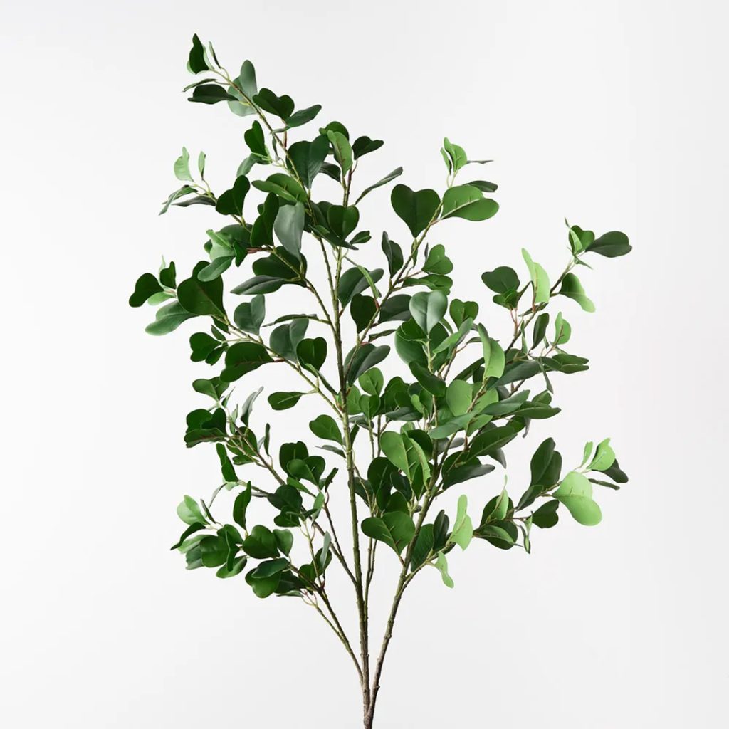 Ficus Triangle Spray – 122cm L – Green | Trenzseater NZ